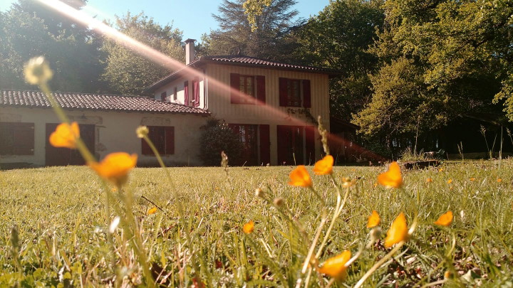 Airial De Pernaud : Un Séjour Au Cœur De La Forêt - Belin-Béliet