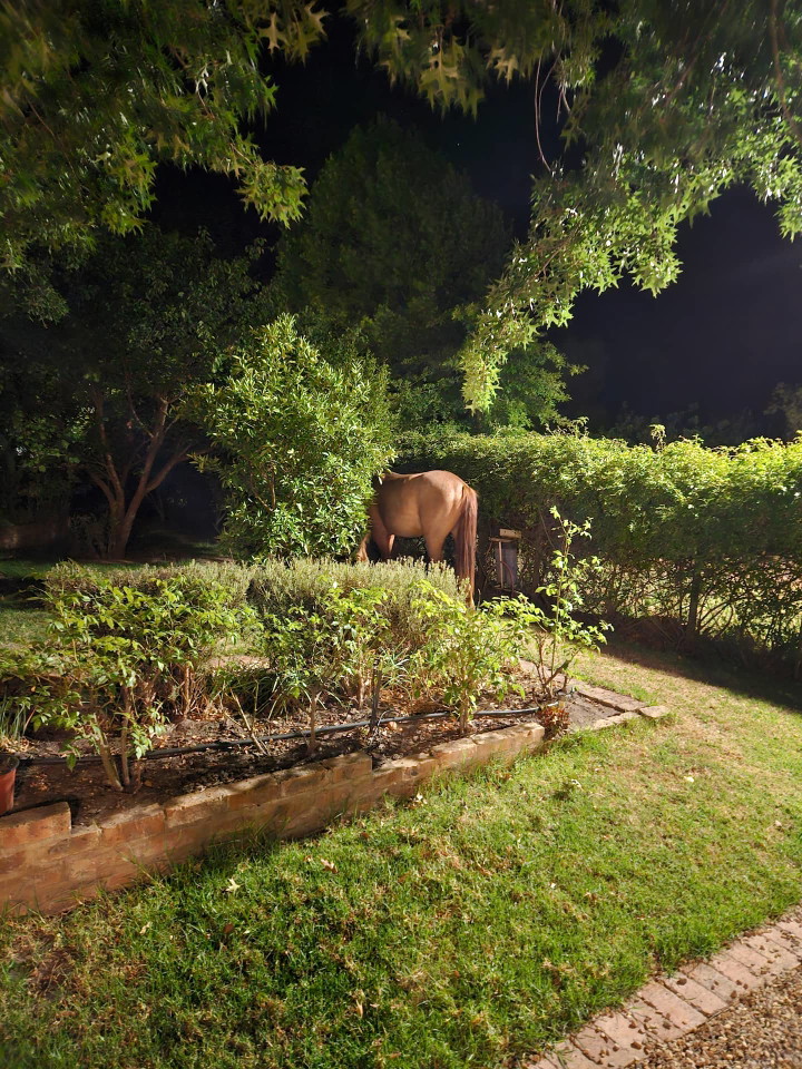 The Greyt House In Greyton - Western Cape