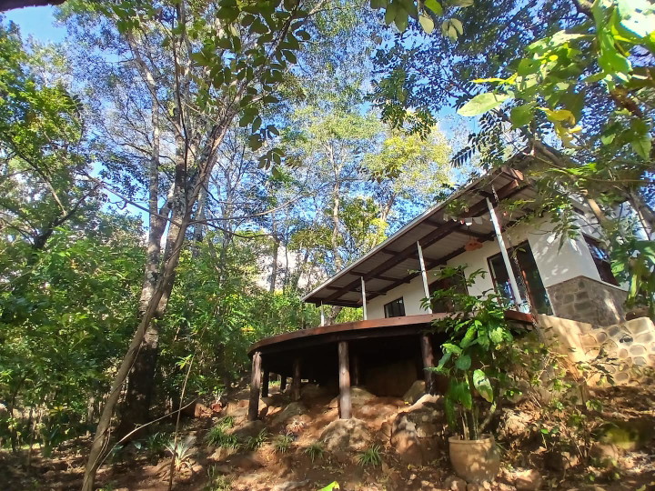 Zion House

Seeking Rest? Find Peace. - Malawi