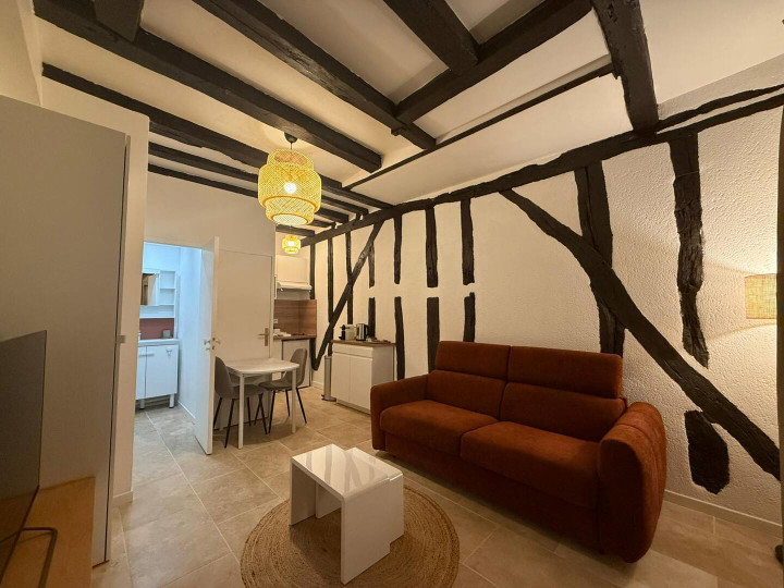 Tours Centre : Charmant Appartement Ancien - Chambray-lès-Tours