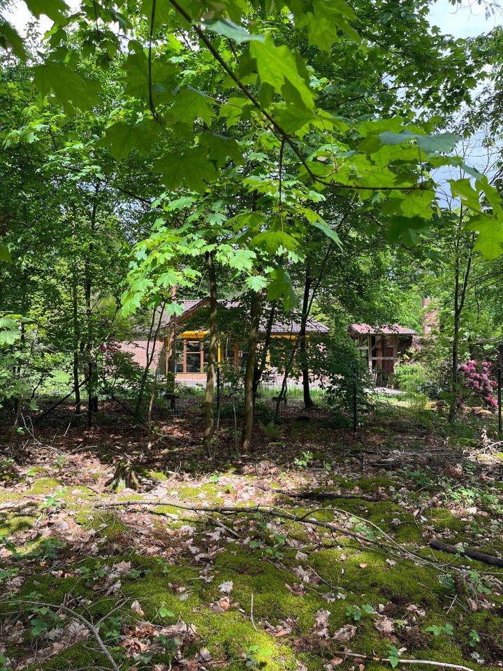 Komfortabel Mitten Im Wald Und Ohne Nachbarn - Zerbst/Anhalt