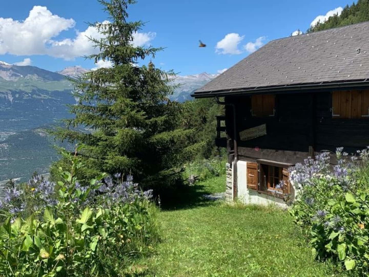 Chalet Le Chardon Bleu, Vue, Situation Idyllique - Anzère