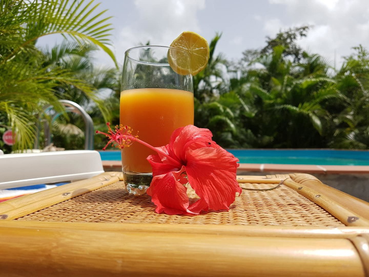 Maison Antilia, Mit Garten + Pool, Strandnähe - Martinique