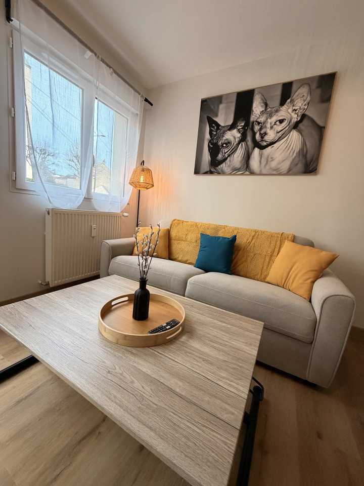 Cozy Apartment In The Heart Of Le Mans - Le Mans