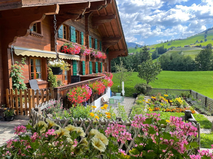Spiher Alpine Chalet Holiday Apartment/studio - Saanen