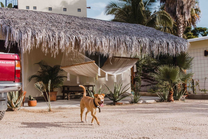 Todos Santos Mx Las Tunas Studio - Todos Santos