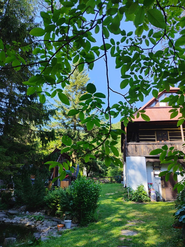 Drevenica Inga, Historická Banícka Drevenica - Donovaly