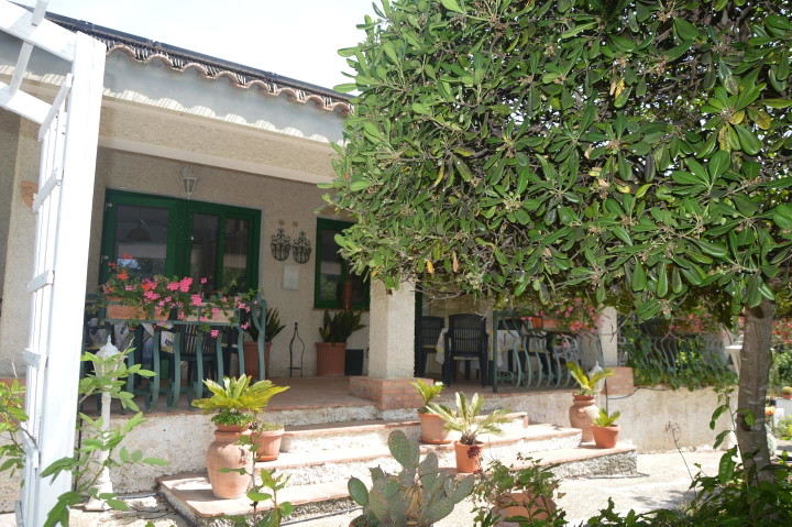 La Lomita - Primavera - Santa Marinella
