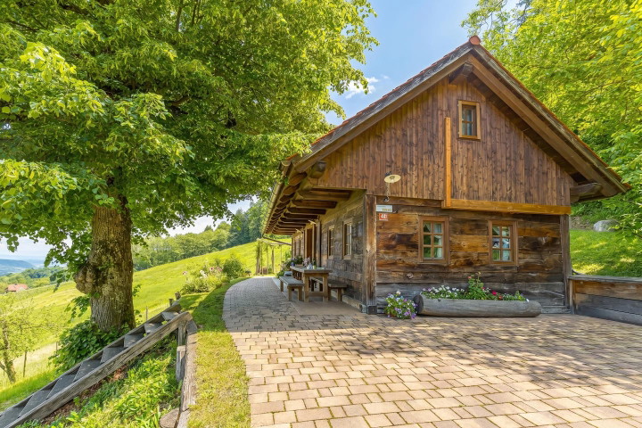 Oldhouse Knezovo With Private Garden - Slovenia