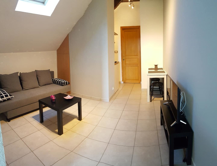 Appartement Cosy, Parfait Pour Découvrir Annecy ! - Seynod