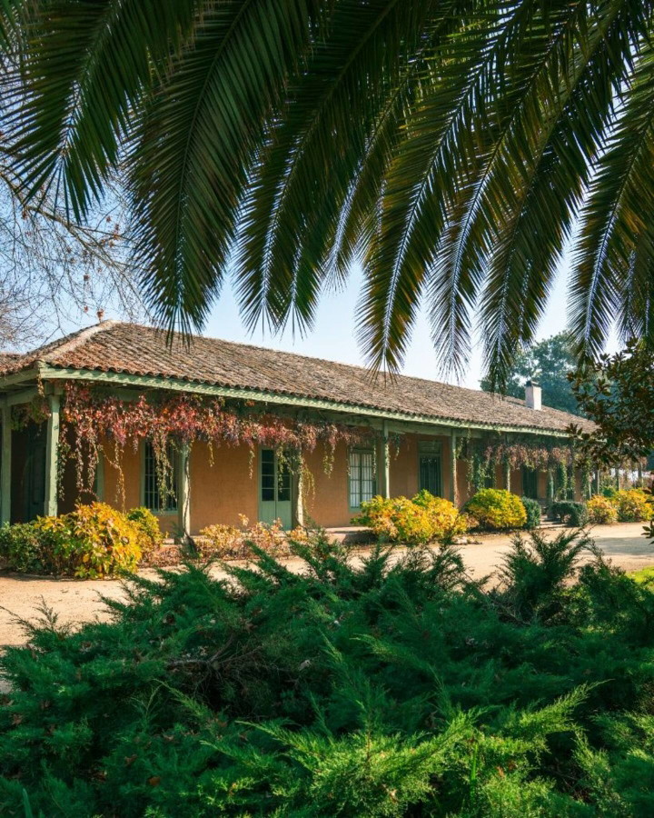 Casa Patronal De Viña Familiar - Curicó