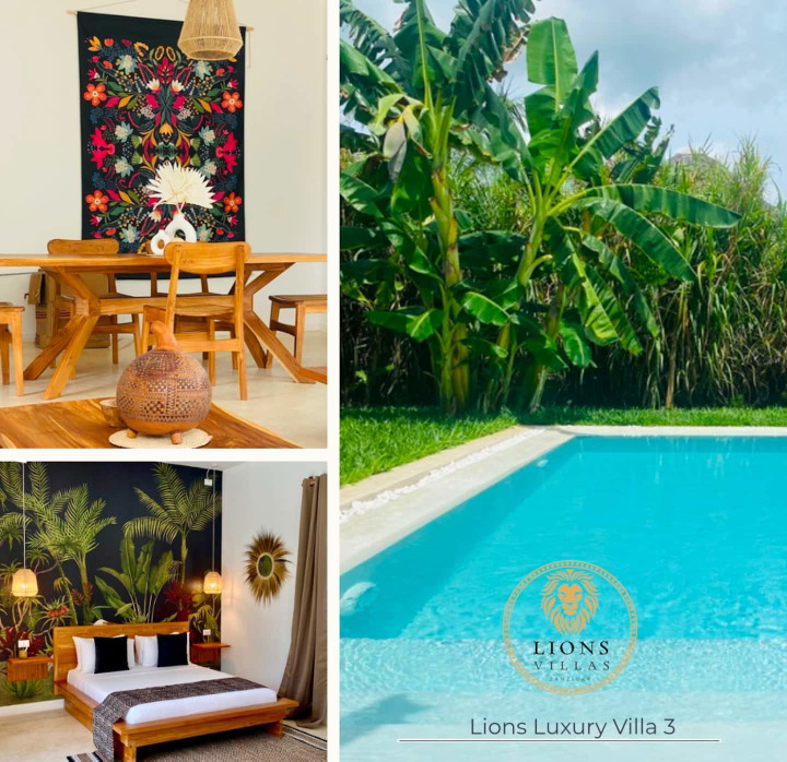 Luxury Lions Villa 3 - Private Cook & Pool - Tanzania