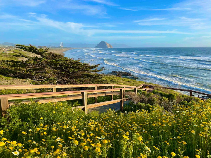 *Seaside-village Cottage* - Morro Bay, CA