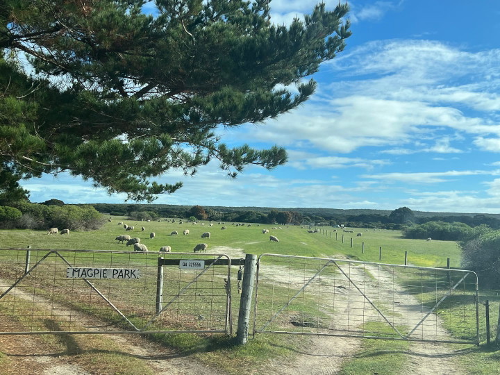 Farm Home * + Air Con * Free Wifi  * Beautiful Bush Views * Wildlife - Kangaroo Island