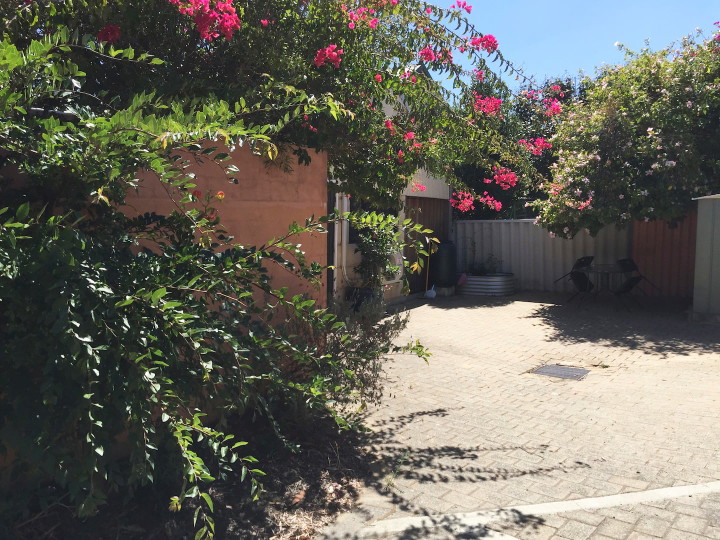 Cute Basic Studio - Perth