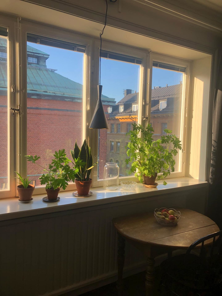 Cozy Studio Apartment - Stockholm