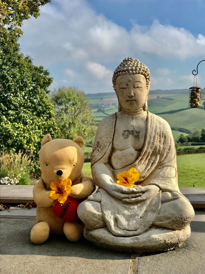 The Stable At Namaste Barn Devon + Yoga Option - Teignmouth