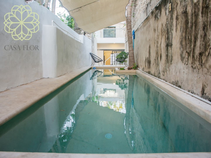 Large Pool In The Historic Center Of Mérida - Yucatan, Mexico
