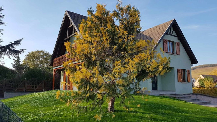 Gite La Maison De Caroline Jacuzzi - Alsace