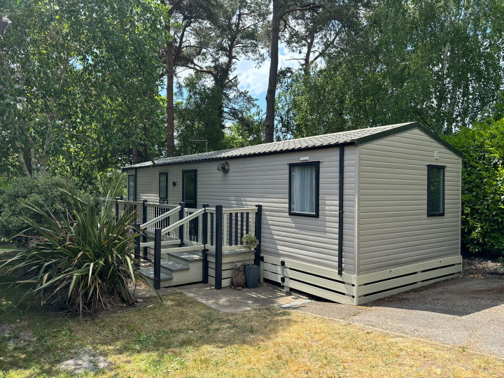 Peaceful Lodge In Private Woodland Setting - Dorset
