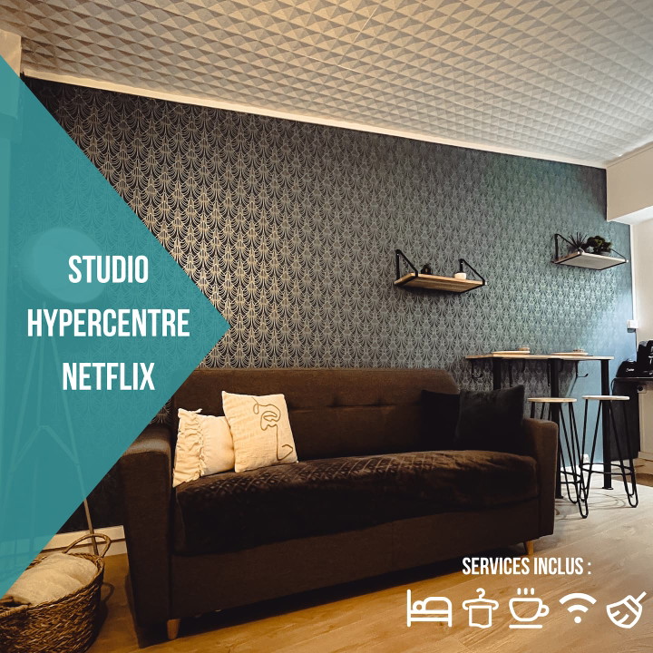 Le Studio Des Halles Hypercentre Netflix - Châteauroux