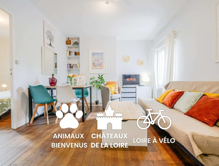 L'epagneul Châteaux Loire à Vélo Petfriendly - Montlouis-sur-Loire