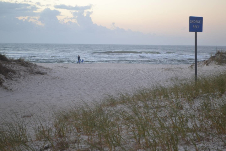 Blue Heron By The Sea - Perdido Key, FL