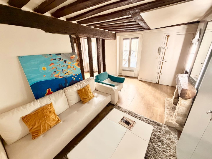 Lovely Parisian Apartment Opposite Le Bon Marché - Paris