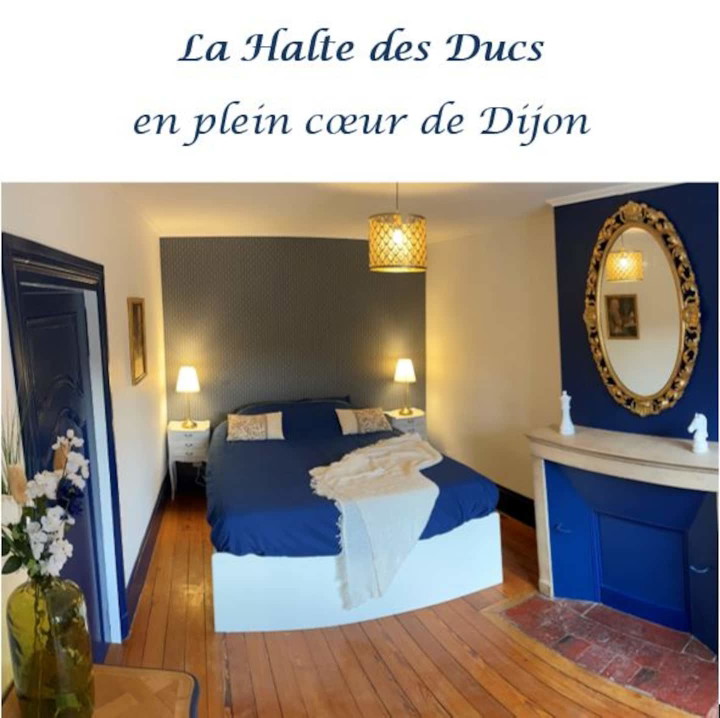 La Halte Des Ducs, Au Cœur De Dijon - Dijon