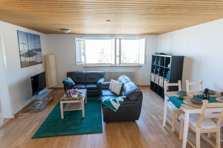 Relax On The Rigi 3.5 Room Apartment - Vitznau