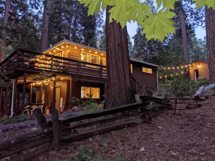 Cozy Cabin Studio In The Pines, Private Entrance, Kitchen, Dogs Ok, Walk To Town - California