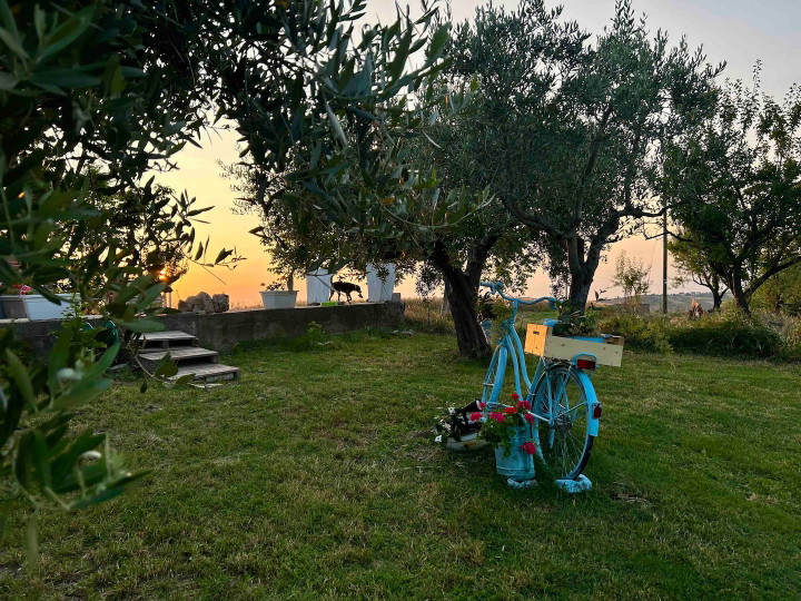 The Hill In A Room - Atessa - Villa Santa Maria