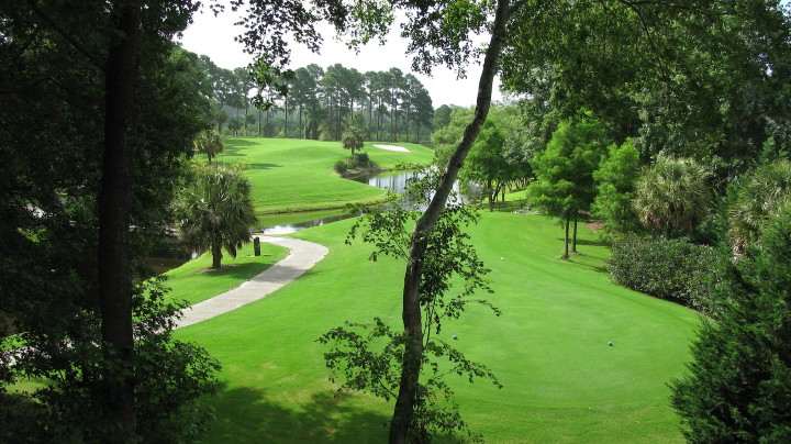 Golf Condo, Location , View , Parking , Price .! - Conway, SC