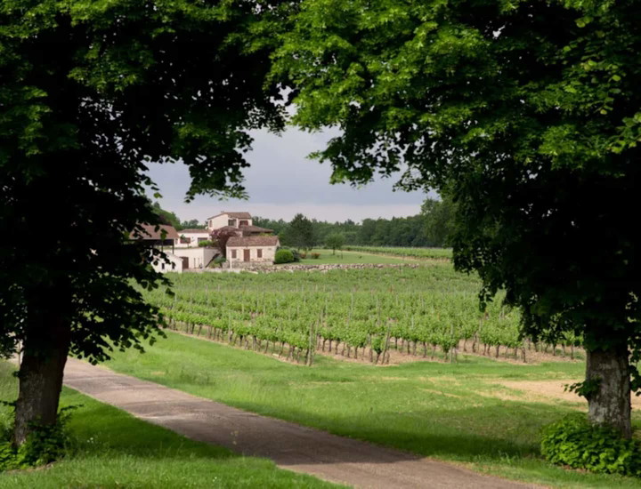 Séjour Au Cœur Du Vignoble Du Grand Mayne... - Lot-et-Garonne