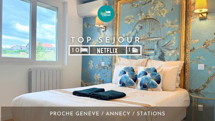 Appartement Spacieux - Entre Lacs Et Montagnes - Annemasse
