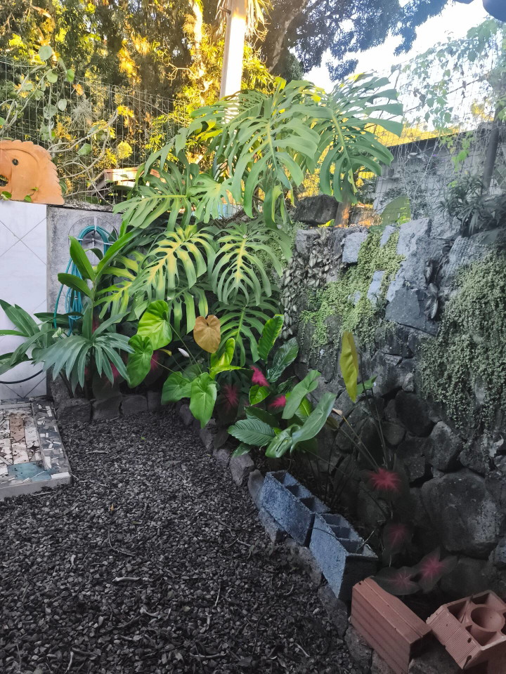 Suíte Mel Um Quarto Dois Ambientes, Total Privacid - Ilhabela