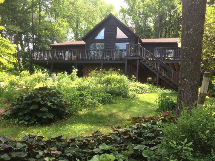 Hidden In The Trees - Staunton, VA