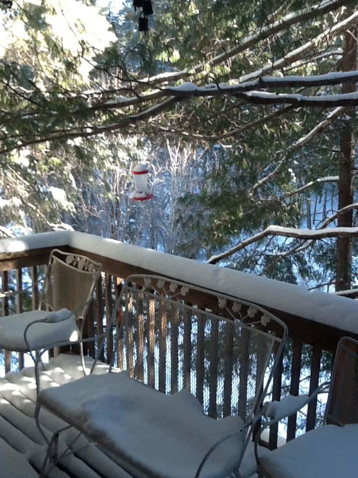 Mt Lemmon Getaway Two - Mount Lemmon, AZ