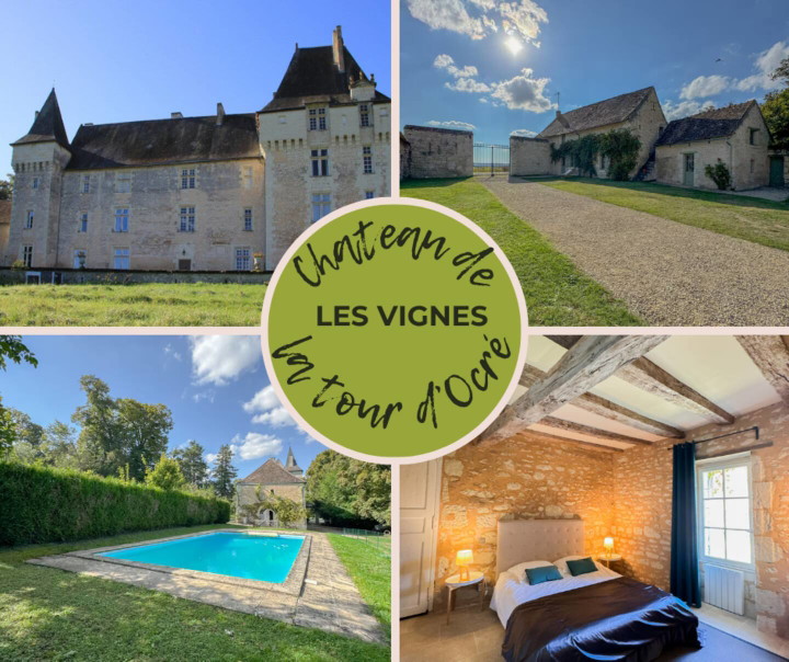 Le Logis Des Vignes - Avec Piscine - Châtellerault
