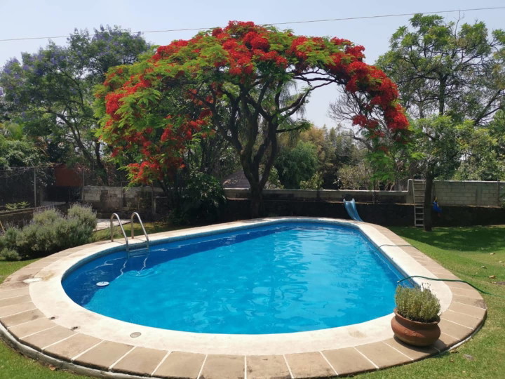 Beautiful And Cozy Guest House With Pool - Cuernavaca
