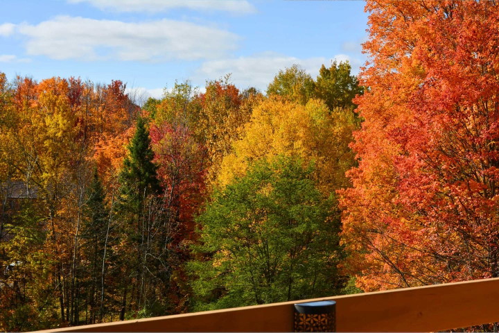 Trout Creek Resort Condo - 6 Mi To Lake Michigan! - Harbor Springs, MI