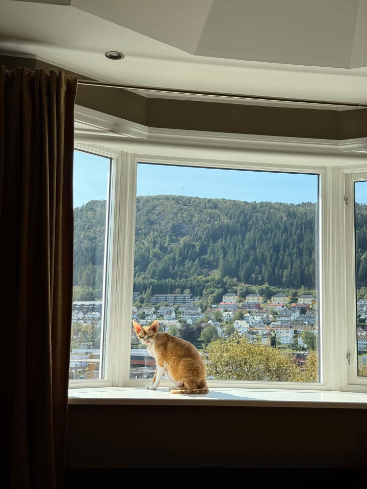Large Apartment In Bergen With Panorama View - Aéroport de Bergen (BGO)