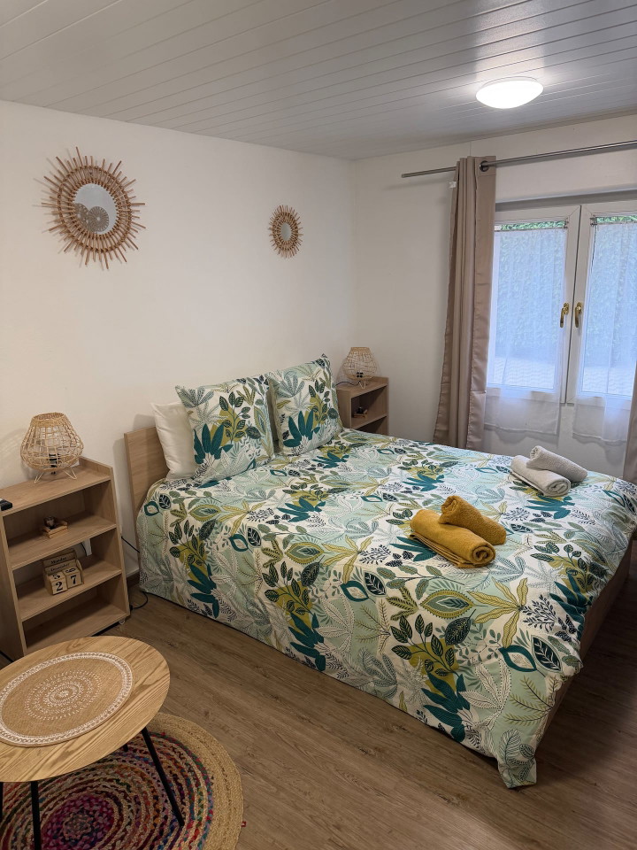 Joli T1 Cosy Dans Un Environnement Paisible - Alsace