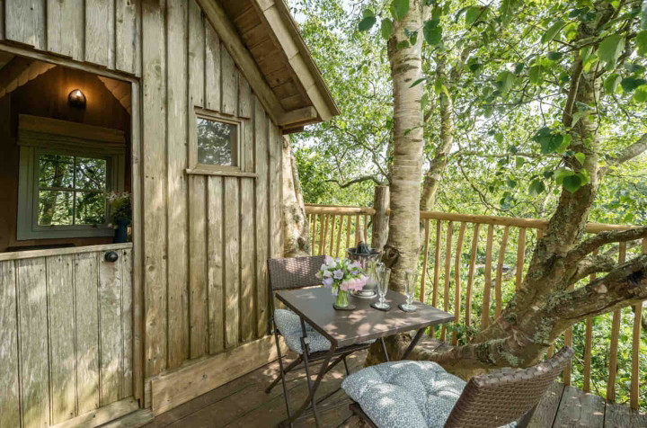 The Treehouse At Salcombe Farm - Kingsbridge