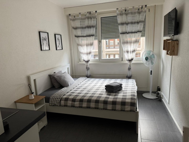 Appartement Confortable Dans Le Centre-ville - Genève