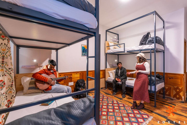 Standard 4 Bed Mixed Dorm In Kasol - Kasol