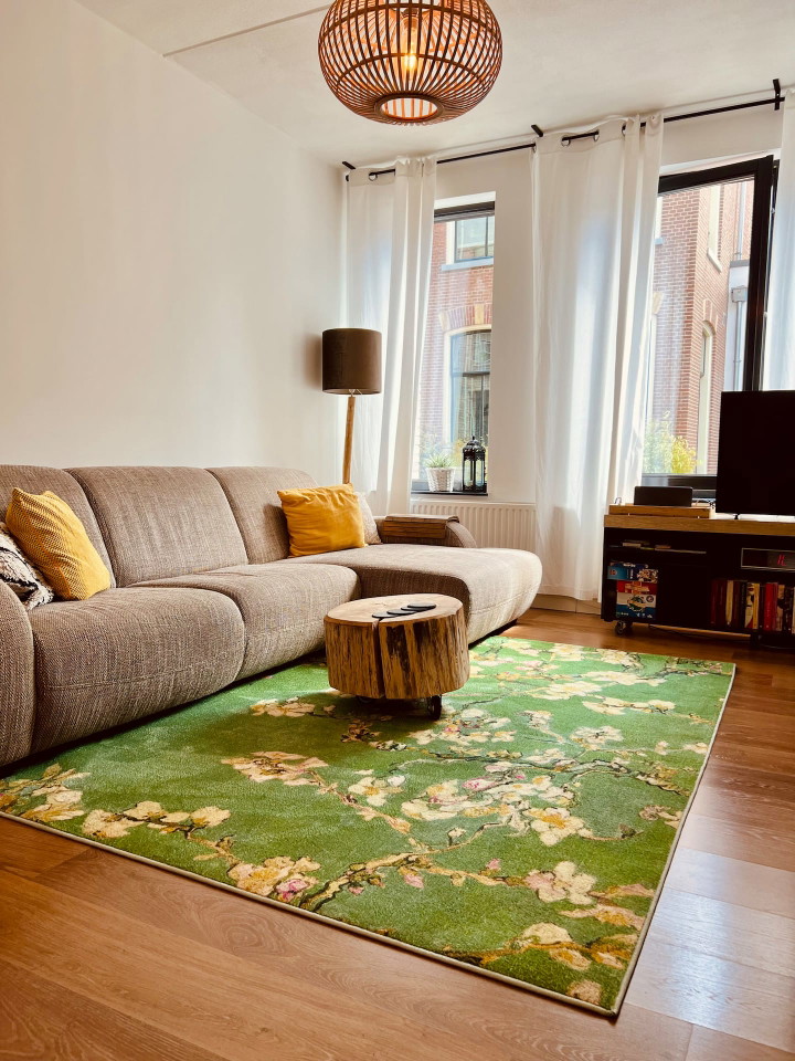 Inside City Centre, Near Park, 25 Min From Beach - Alkmaar