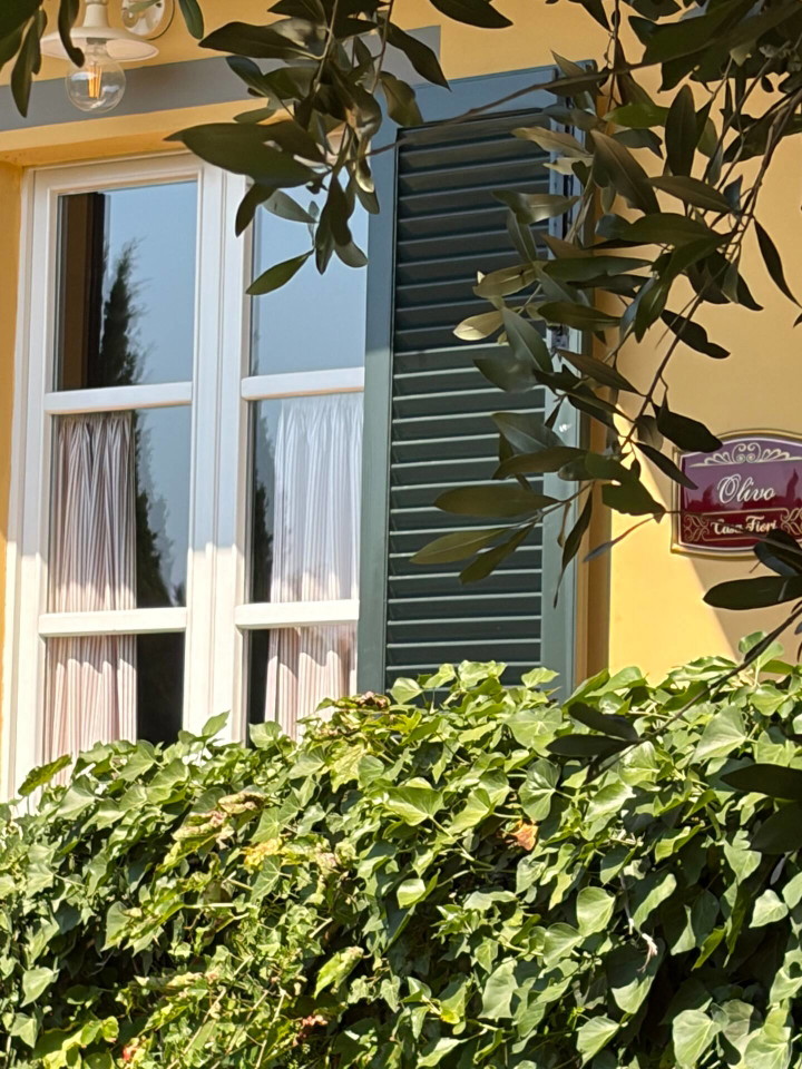 Casa Fiori Olivo - Cecina