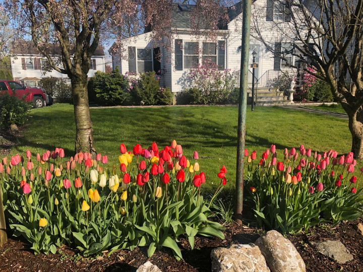 Greenwich Garden Apartment - Greenwich, CT