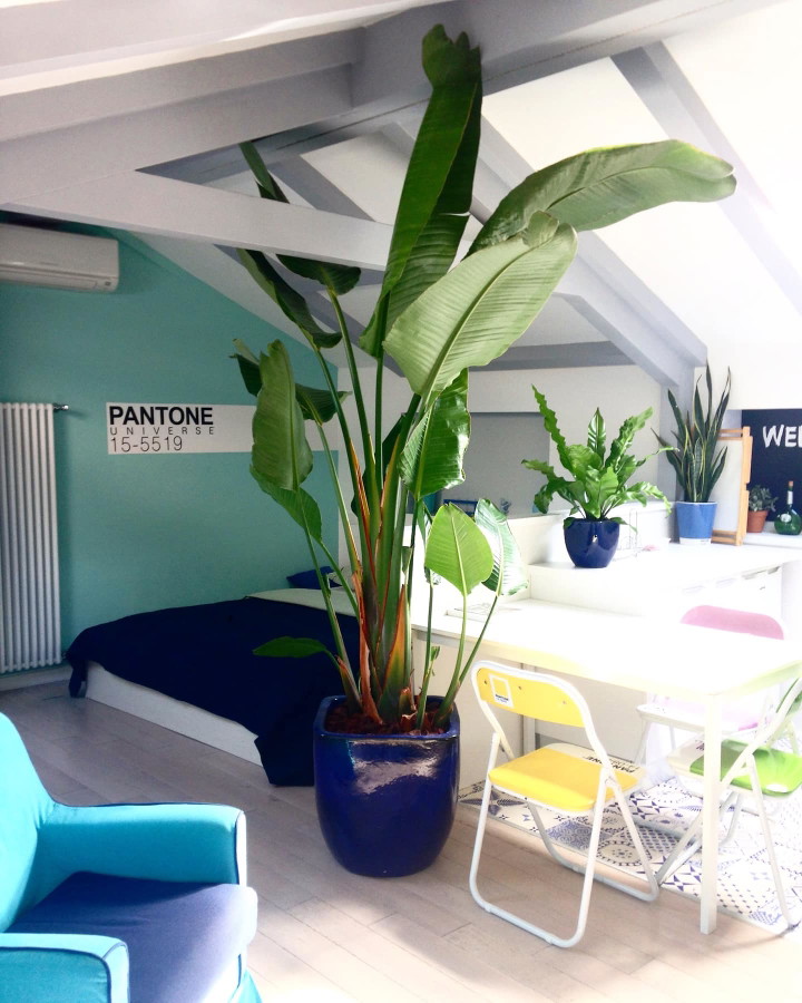 Magnifique Loft À Sorrente - Sorrente